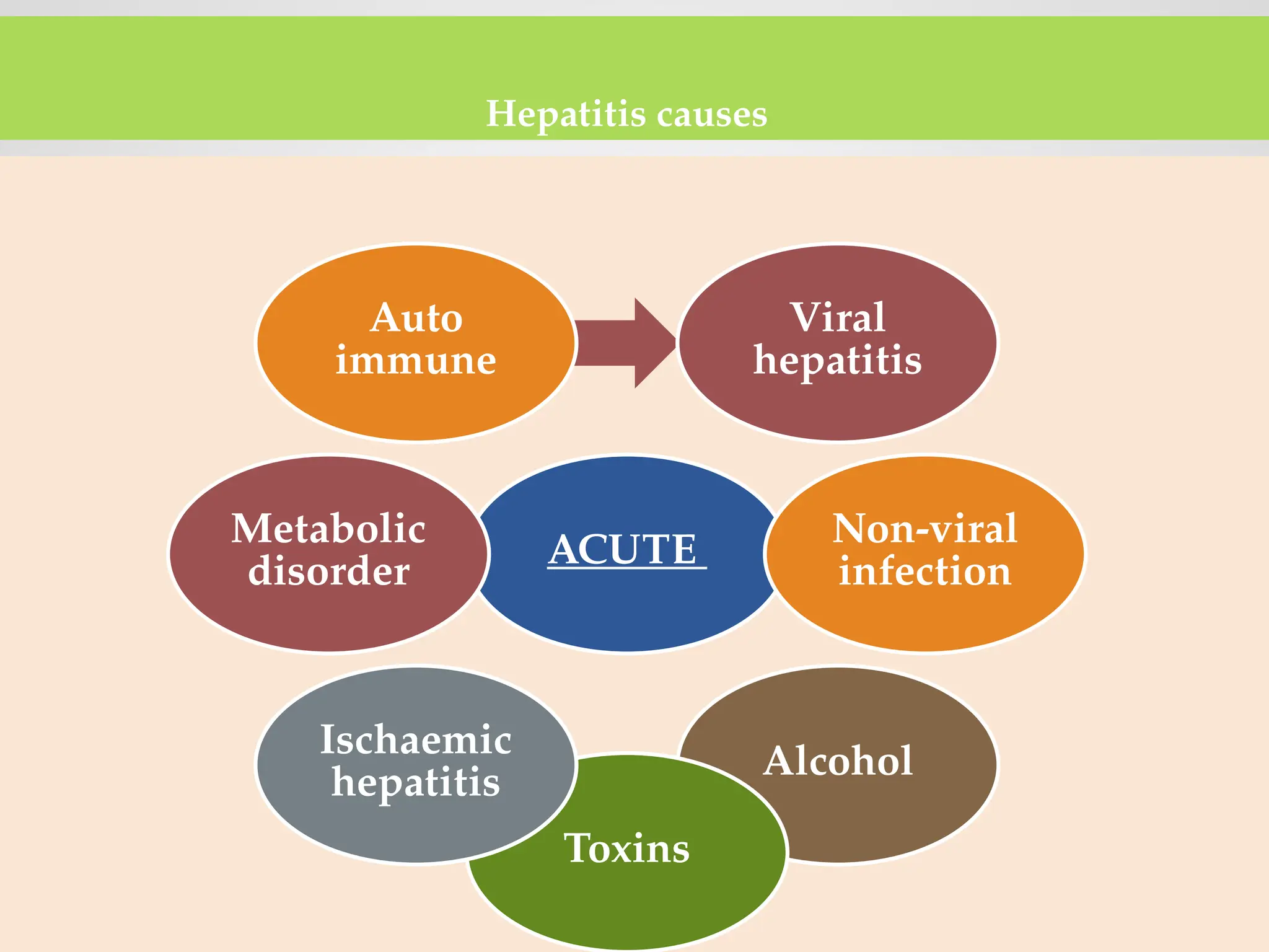 hepatitis ppt includes hepatitis in children- pathophysiology, signs ...