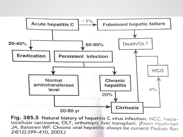 hepatitis ppt includes hepatitis in children- pathophysiology, signs ...