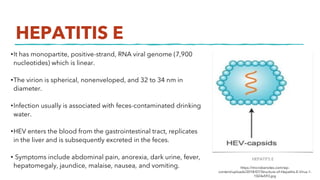 hepatitis Disease diagnosis and treatment | PPT