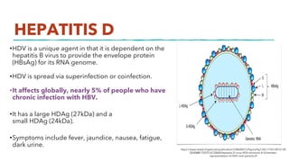 hepatitis Disease diagnosis and treatment | PPT