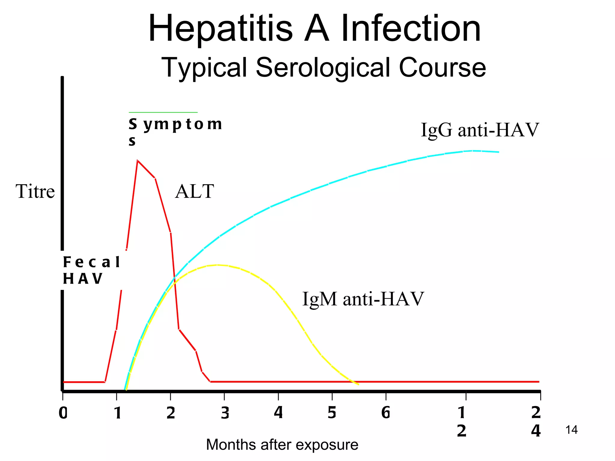Hepatitis ppt final | PPT