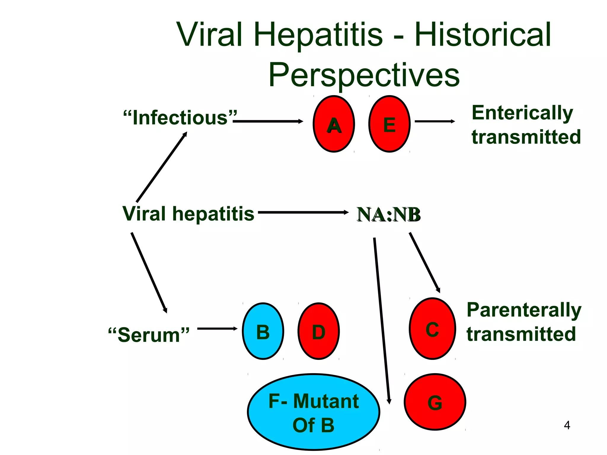 Hepatitis ppt final | PPT