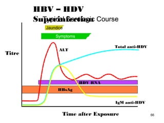 Hepatitis ppt final | PPT