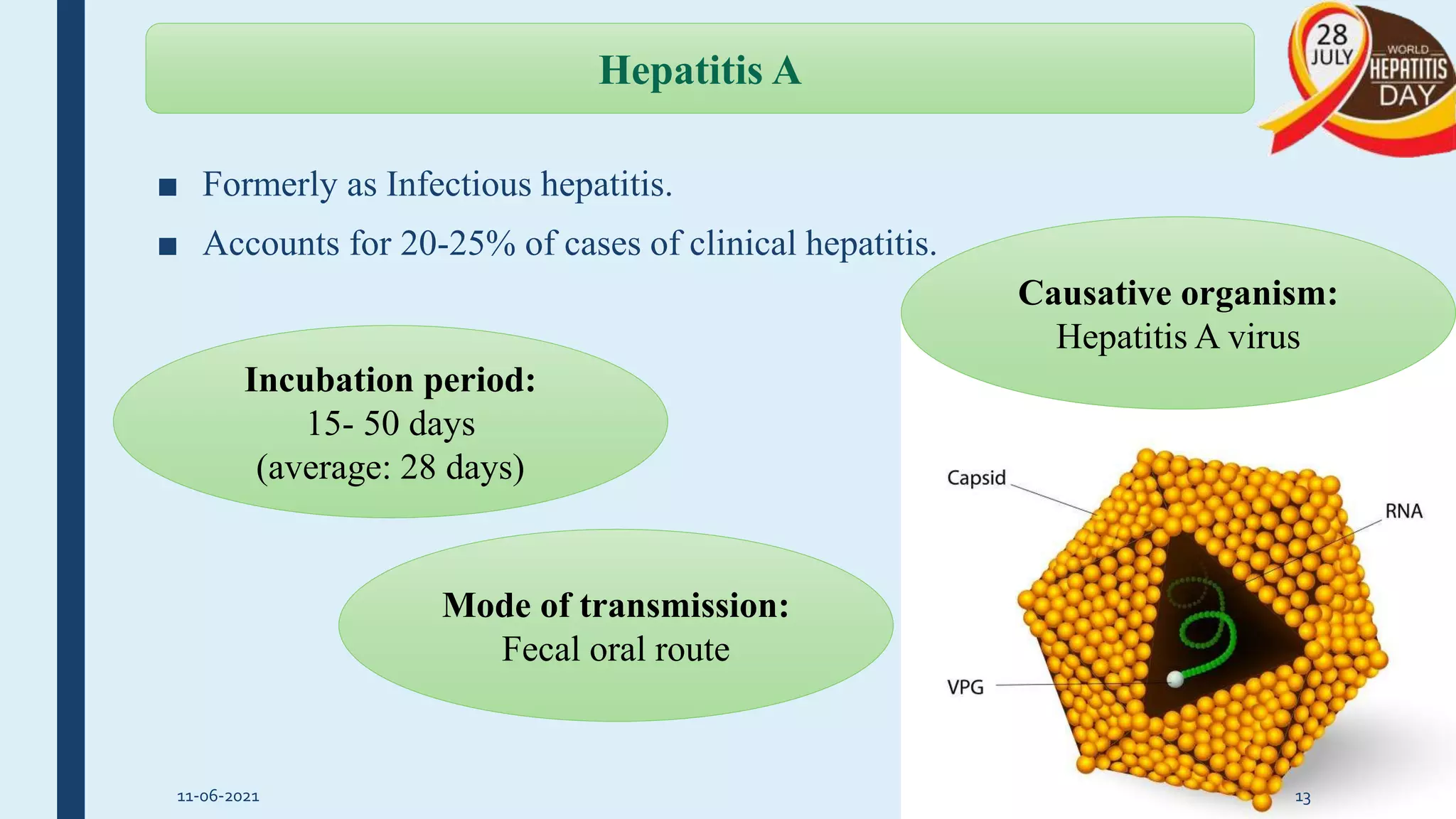 Hepatitis (viral and non viral types) ppt slideshare | PPTX