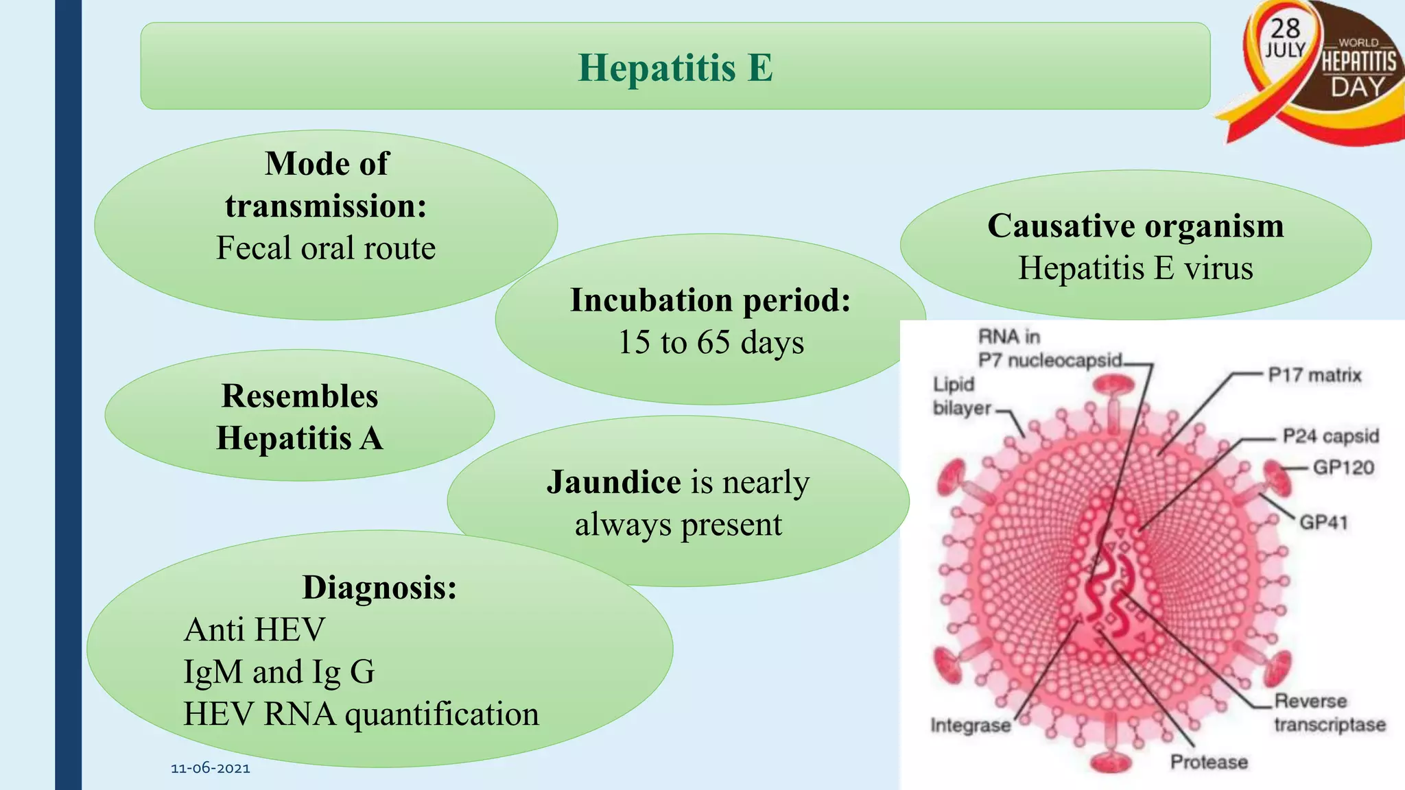 Hepatitis (viral and non viral types) ppt slideshare | PPTX