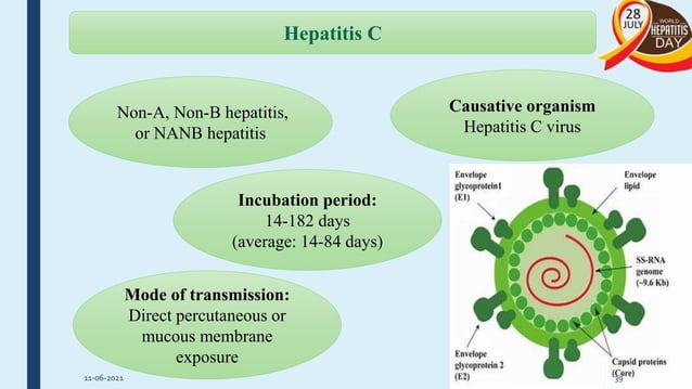 Hepatitis (viral and non viral types) ppt slideshare | PPTX