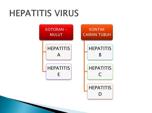 Hepatitis rev puspita | PPTX
