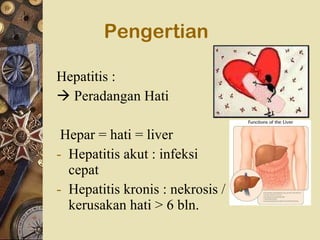 Hepatitis rsbh | PPT