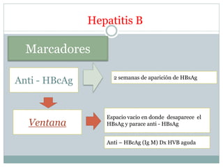 Hepatitis virica aguda | PDF