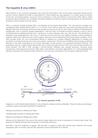 hepatitis virus.pdf