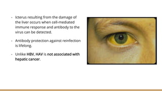 Hepatitis viruses presentation | PPTX