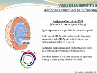 Hepatitis virus hepatotropos 3da llamada | PPTX