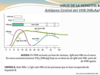 Hepatitis virus hepatotropos 3da llamada | PPTX