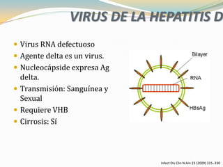 Hepatitis virus hepatotropos 3da llamada | PPTX