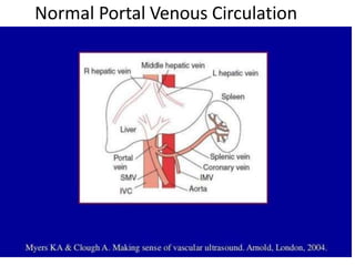 Hepato portal doppler ultrasound | PPTX