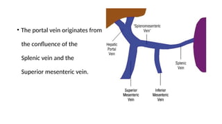 HEPATO-RENAL SYNDROME , HEPATO-PULMONARY SYNDROME & PORTAL HYPERTENSION ...