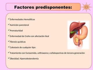 HEPATOBILIAR.pptx anatomía descriptiva ... | PPTX