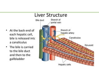 Hepato biliary | PPT