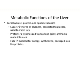 Hepato biliary | PPT