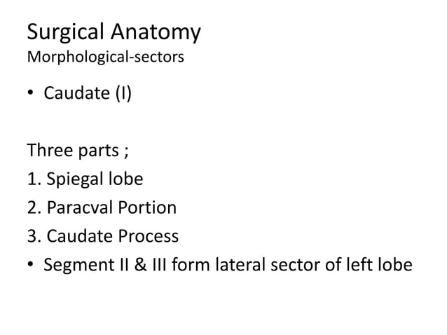 Hepatobiliary anatomy | PPTX