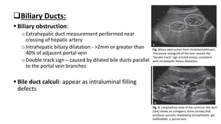 Hepatobiliary Imaging.pptx