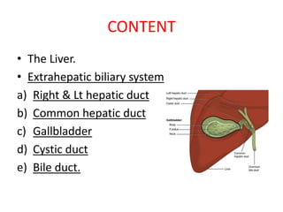 RADIOANATOMY OF HEPATOBILIARY SYSTEM.pdf