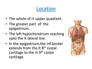 RADIOANATOMY OF HEPATOBILIARY SYSTEM.pdf