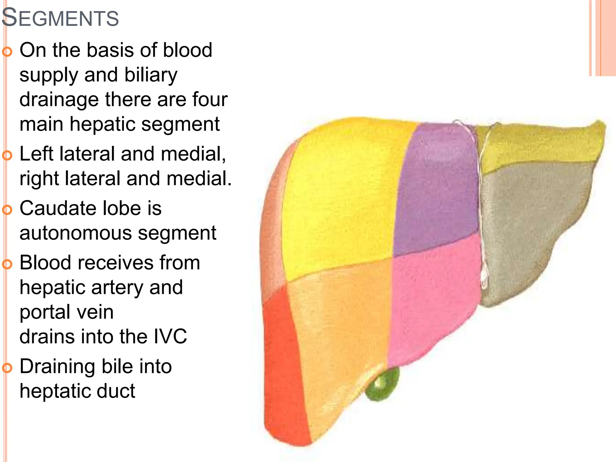 hepatobiliary system 2024.pptx hepatobiliary system | PPTX