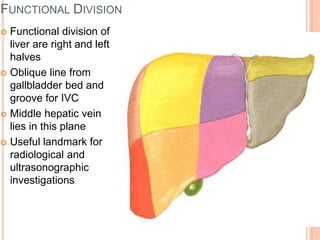 hepatobiliary system 2024.pptx hepatobiliary system | PPTX