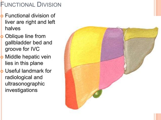 hepatobiliary system 2024.pptx hepatobiliary system | PPTX | Surgery ...