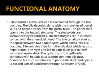 Hepatobilliary System: Source of Bile, composition and its functions | PPTX