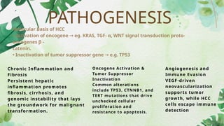 Hepatocellular Carcinoma (HCC) malignant tumors of liver.pptx