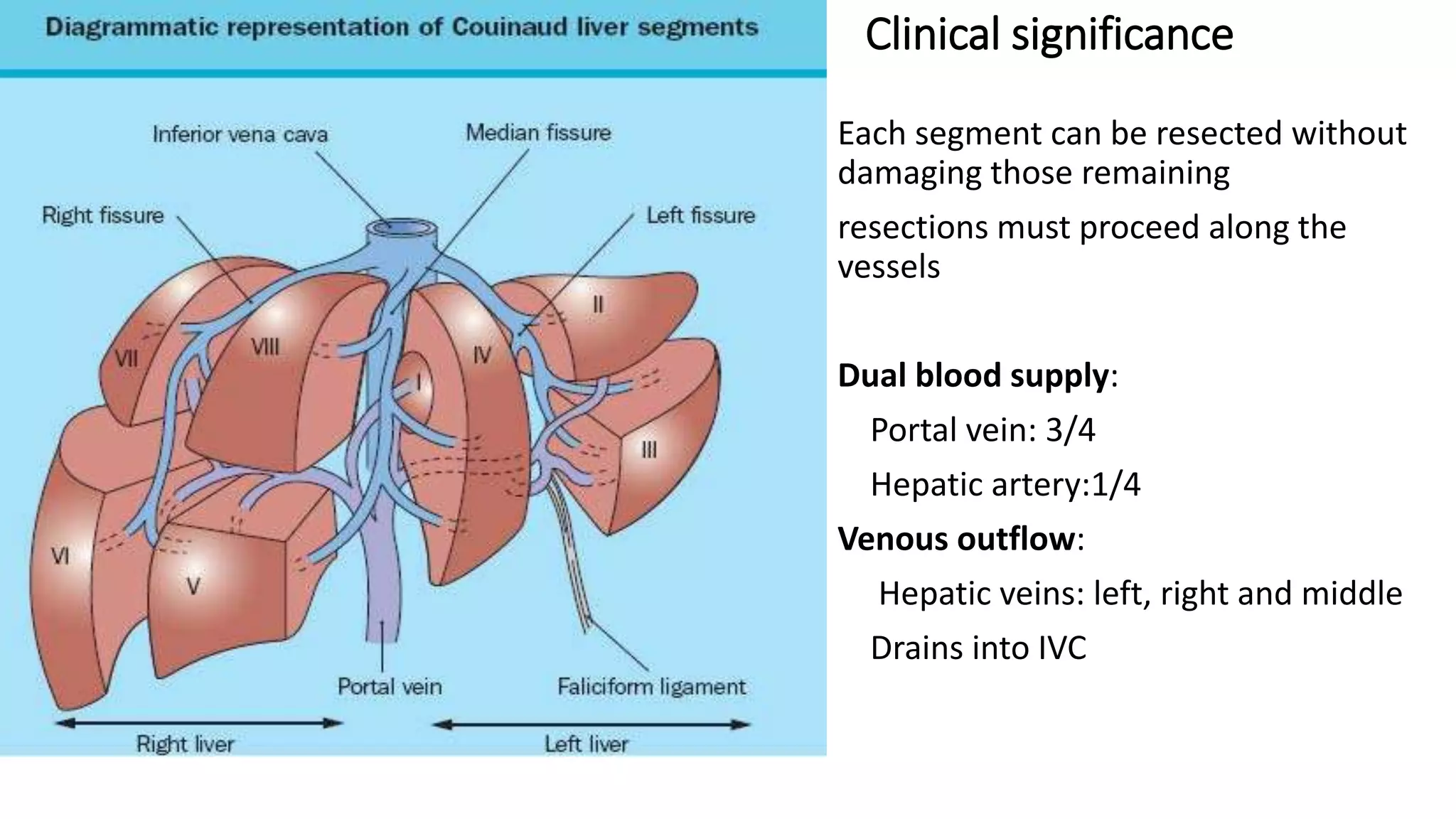 Hepatocellular carcinoma premanagement | PPTX