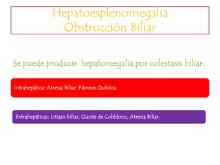Hepatoesplenomegalia pediatria II | PDF