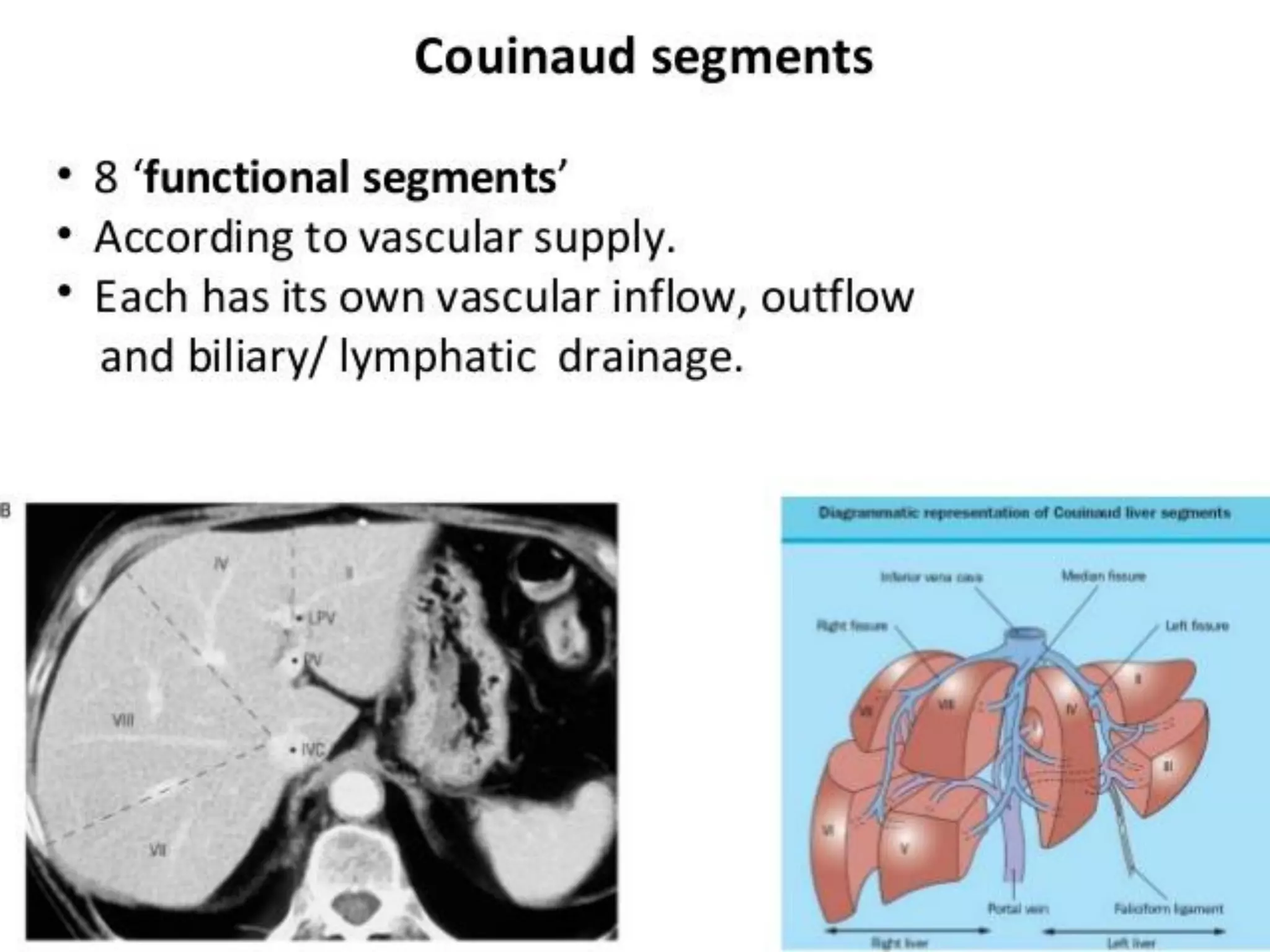 Anatomy of Hepato portal circulation | PDF