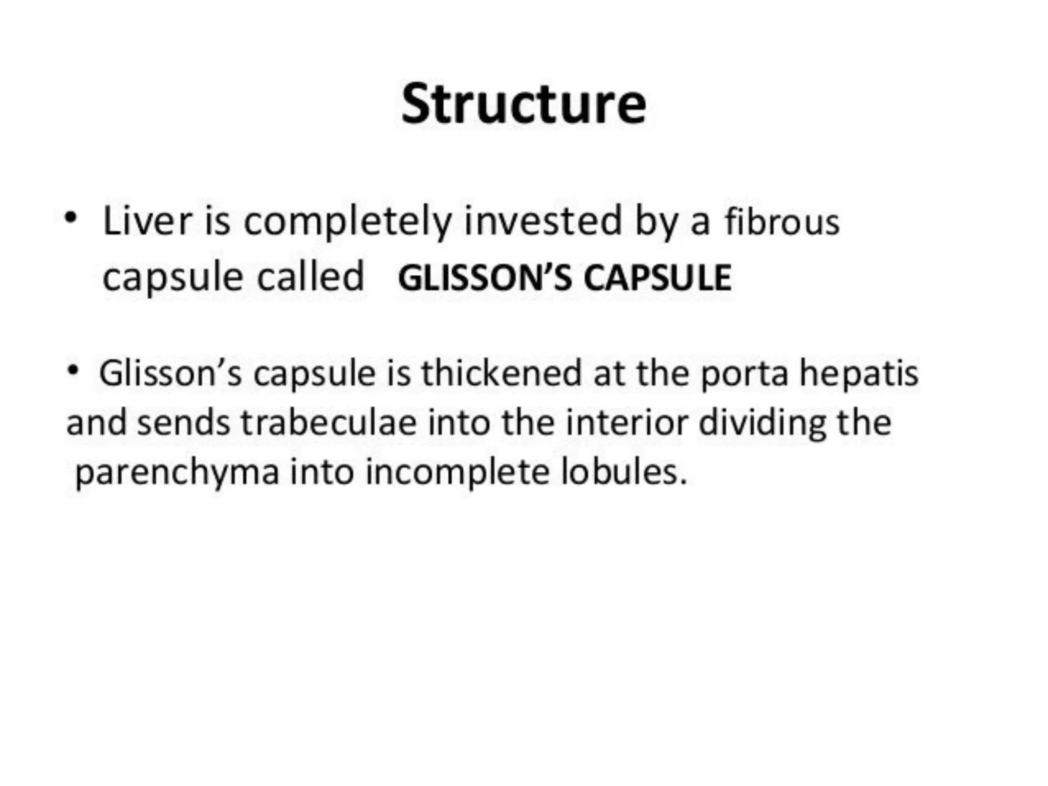Anatomy of Hepato portal circulation | PDF