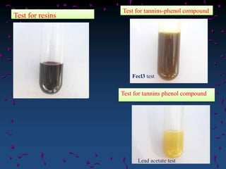 Hepatoprotective activity of aegles mermelos in nanomaterial induced | PPTX