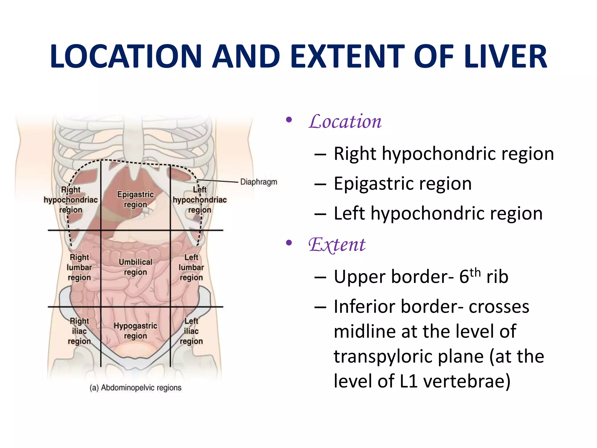 Hepatospleenomegaly in children | PPTX
