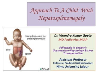 Enlarged Spleen In Kids