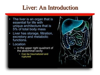 Hepatotoxicity | PPT