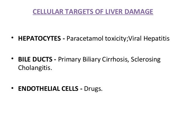 Hepatotoxicity