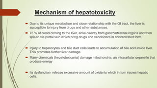 HEPATOTOXICITY.pptx