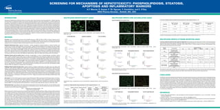 Hepatoxicity Sot 2008 Poster | PDF | Endocrine and Metabolic Diseases | Diseases and Conditions