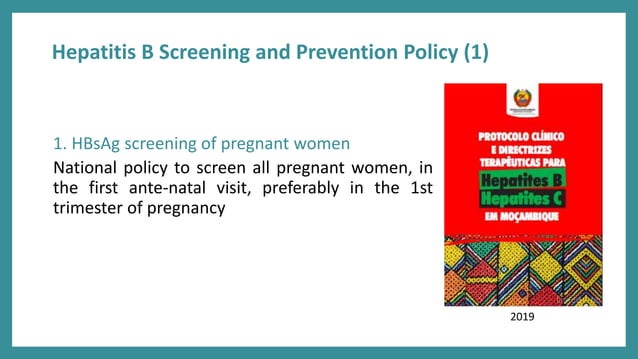 HepB BD Experiences-Countries Planning BD Introduction_29-4-2021_final ...