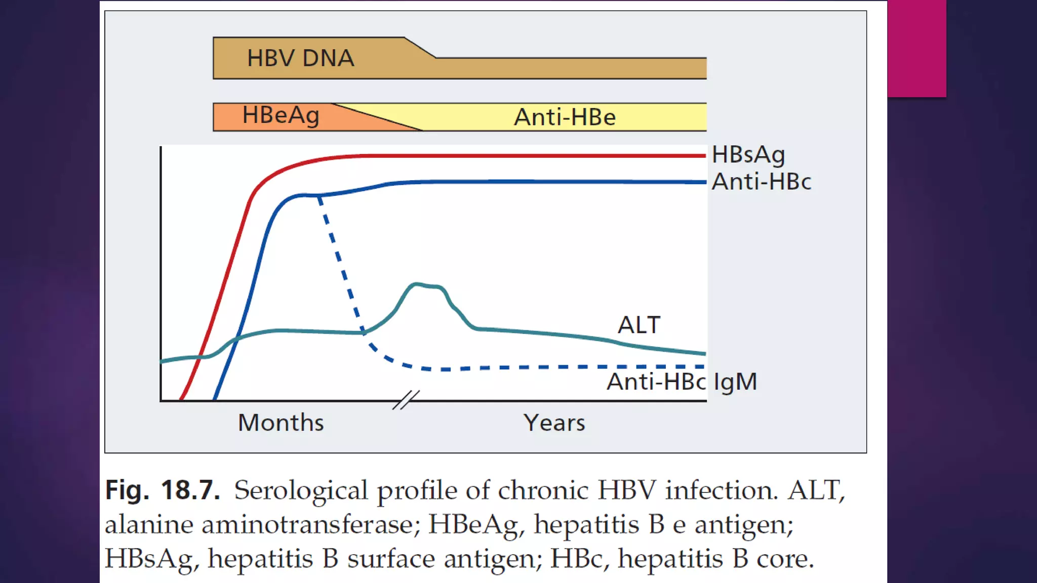 Hepatitis B : Complete Overview and Recent Updates 2019 | PPTX