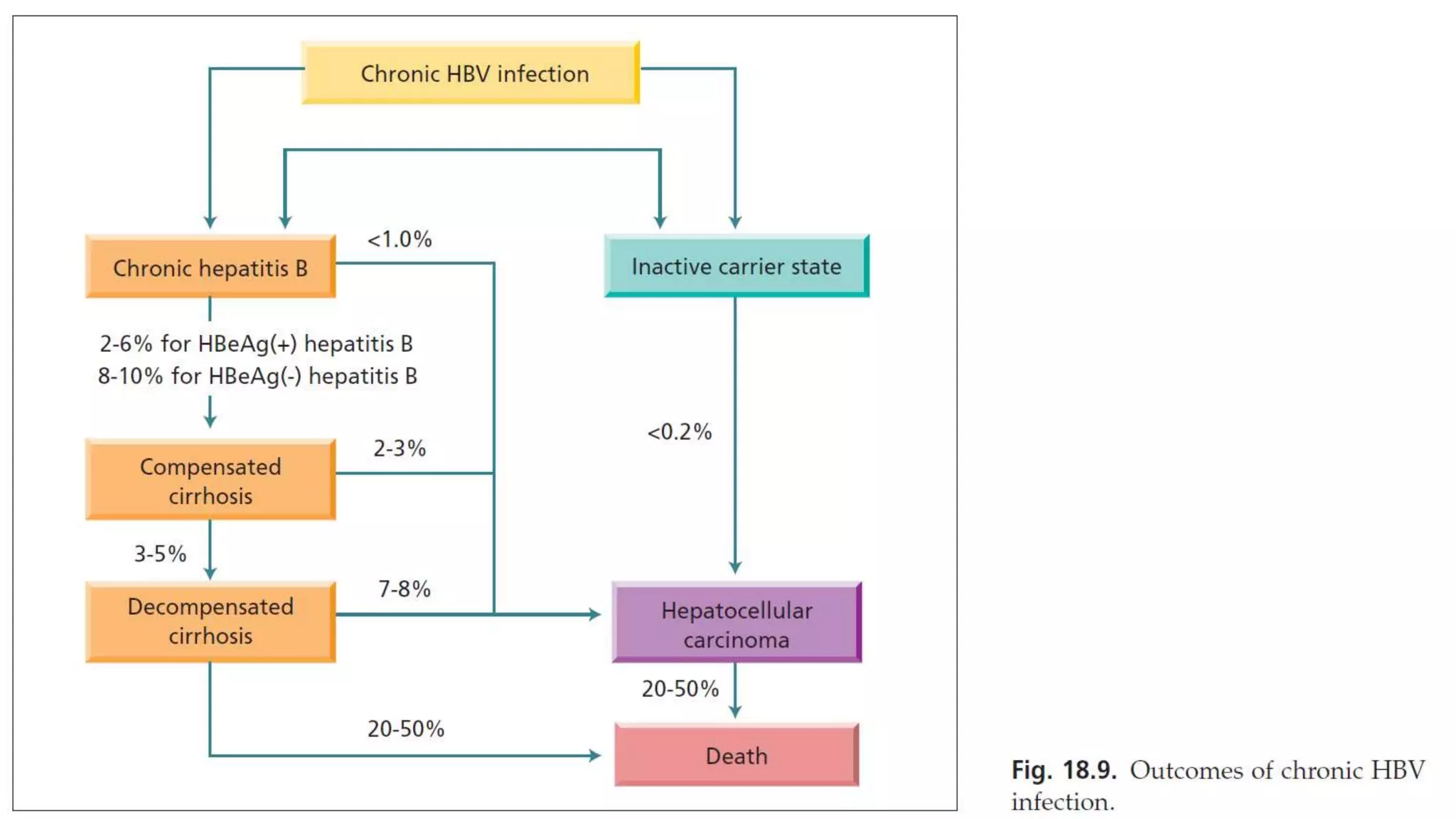 Hepatitis B : Complete Overview and Recent Updates 2019 | PPTX