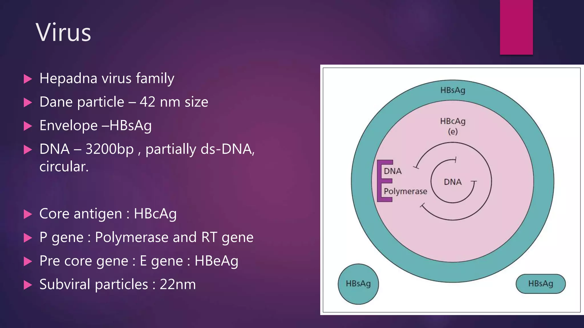 Hepatitis B : Complete Overview and Recent Updates 2019 | PPTX