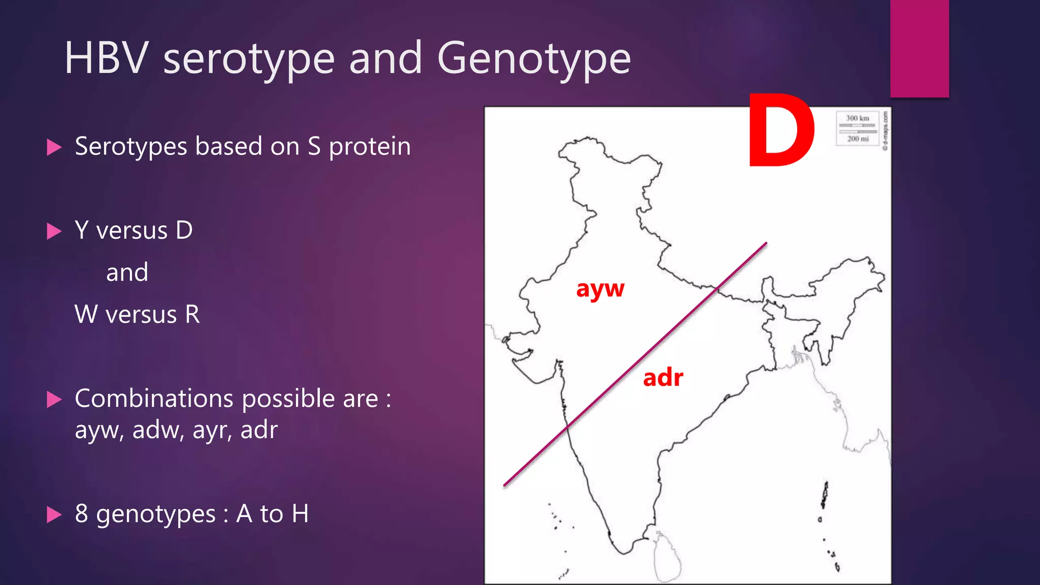 Hepatitis B : Complete Overview and Recent Updates 2019 | PPTX