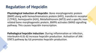 Hepcidin - Regulation and its role in Iron metabolism | PPTX
