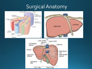 Biliary Anatomy and Reconstruction of the Biliary Tract | PPT